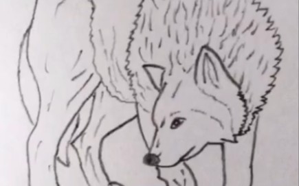 【简笔画教程】零基础画狼,超级逼真有没有!
