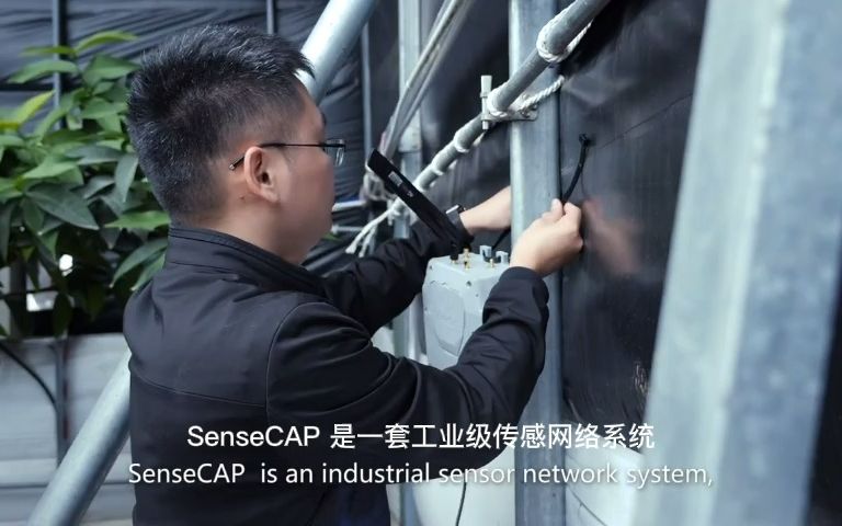 农业数字化转型升级,如何破?