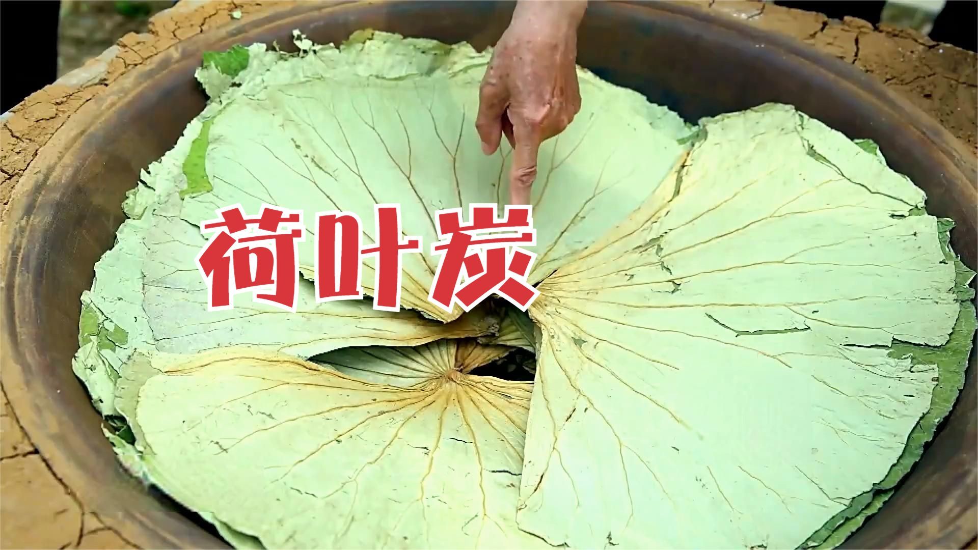 炮制荷叶,将荷叶幻化新生形成荷叶炭
