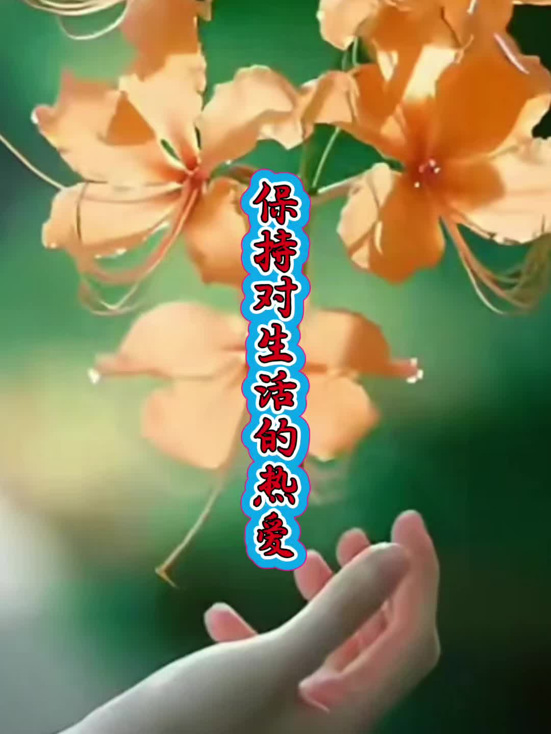 @保持对生活的热爱,对人生的向往,对未来的期待,不断提升自己,认真且...