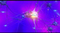 幻鲸VR教育_神经元间的信号传递_高中生物