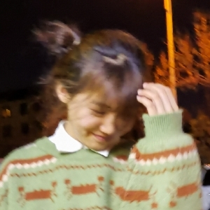 雾芝枫霖 