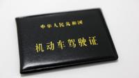 为什么有了驾驶证, 还需从业资格证? 今天可算知道了