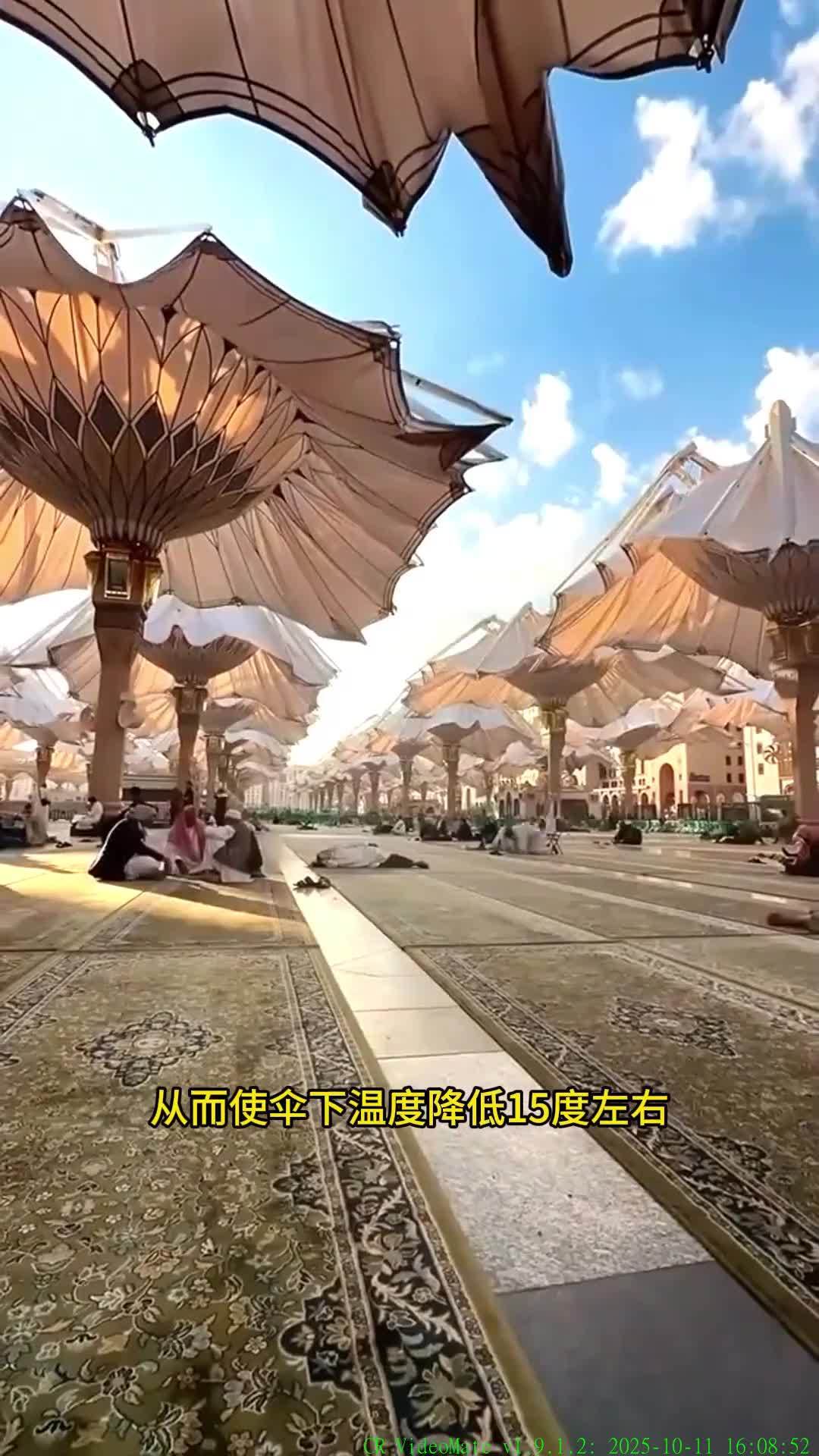 广场上的可自动巨型伞 #伞#巨型伞#自动伞