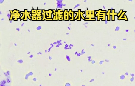 被净水器二次污染的饮用水