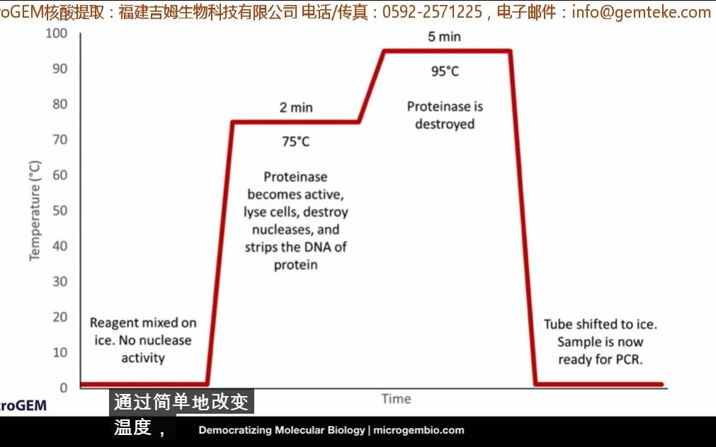 1. 分子生物学工具:一种快速简单的单管核酸提取方法(15分钟内快速...
