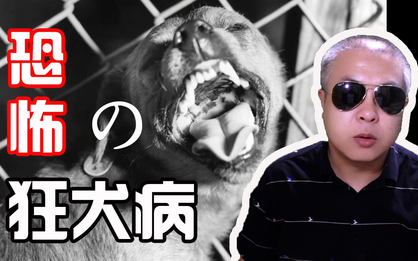 感染狂犬病会发生什么?恐水症究竟是如何造成的?世界第一例被治愈...