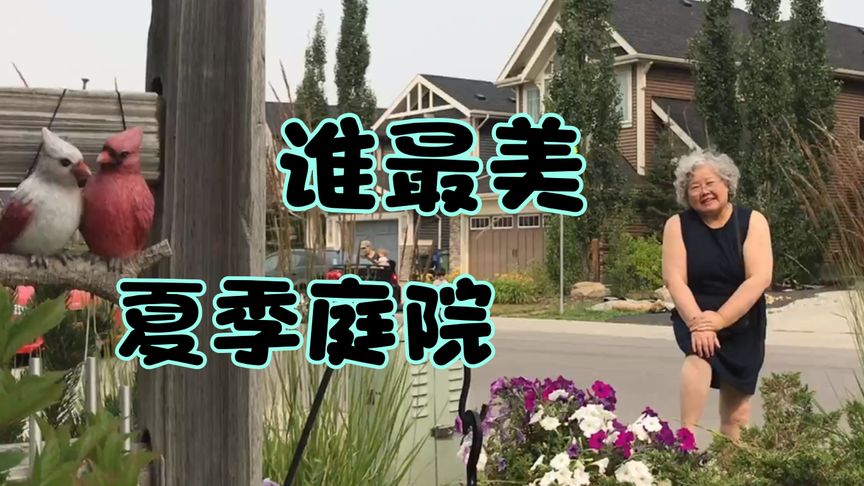 夏季庭院美化,每个家庭以个性美突出自己的创作,家家门前一景观
