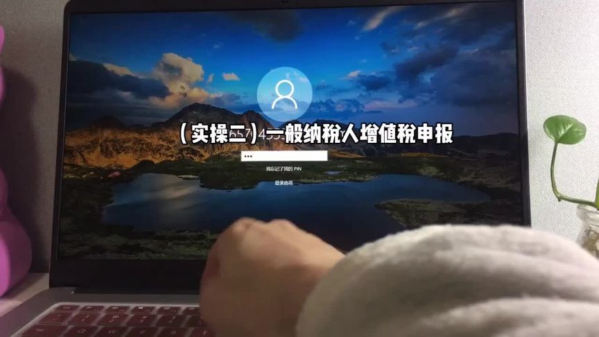 (实操二)增值税一般纳税人申报✍️ 穷极一生 要做自己喜欢的人