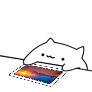 XMaoCat 