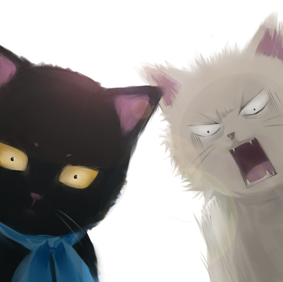 奔赴每一份热爱 