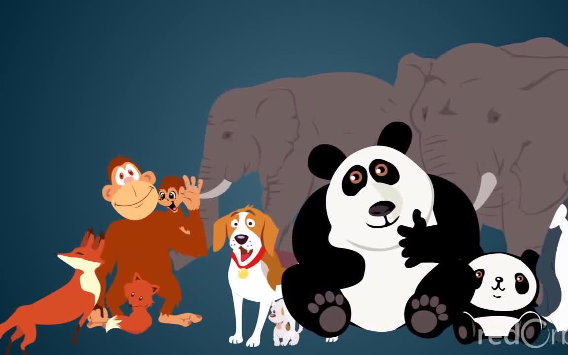 162秒让你知道染色体是什么!