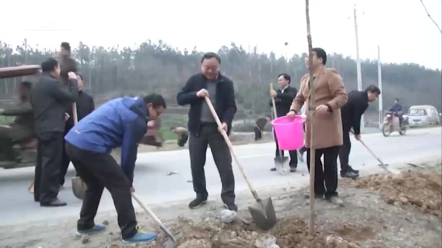 曾都区开展2019年义务植树活动,营造了义务植树全民参与的氛围