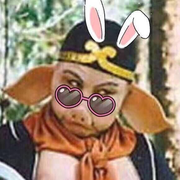 宝哥浑身都是糖 