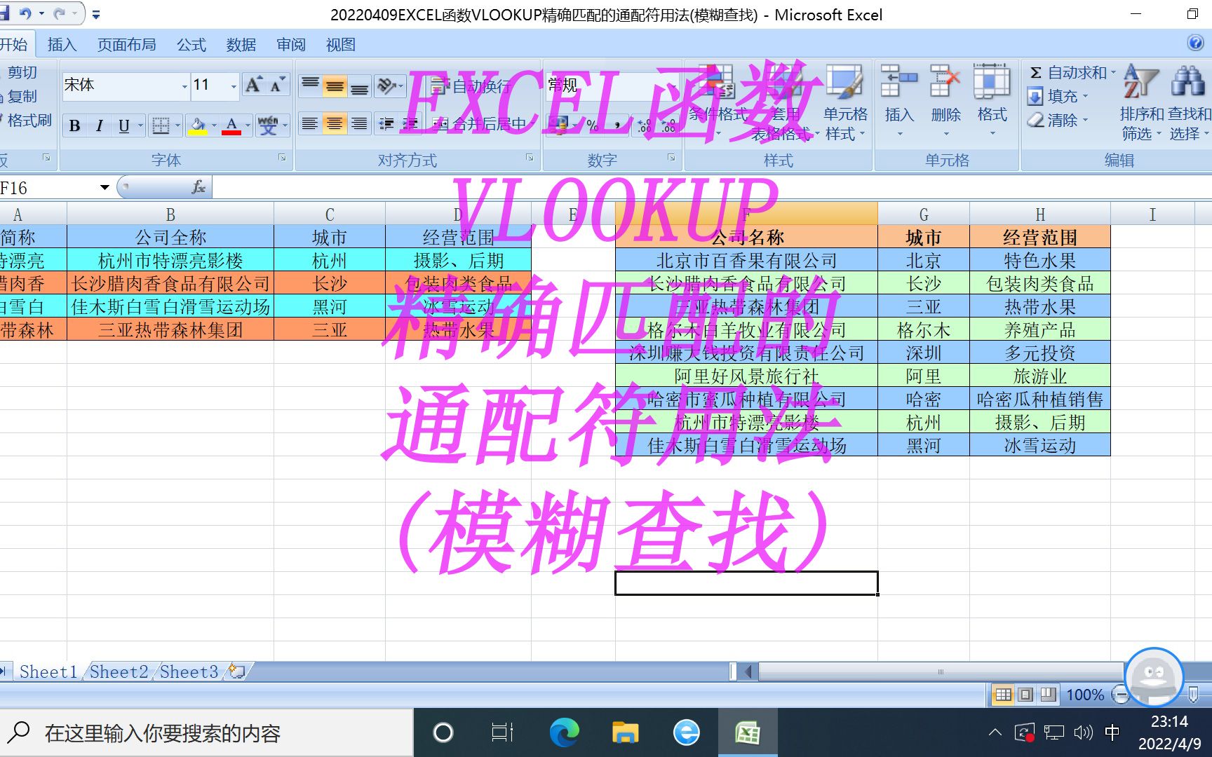 EXCEL函数VLOOKUP精确匹配的通配符用法(模糊查找)