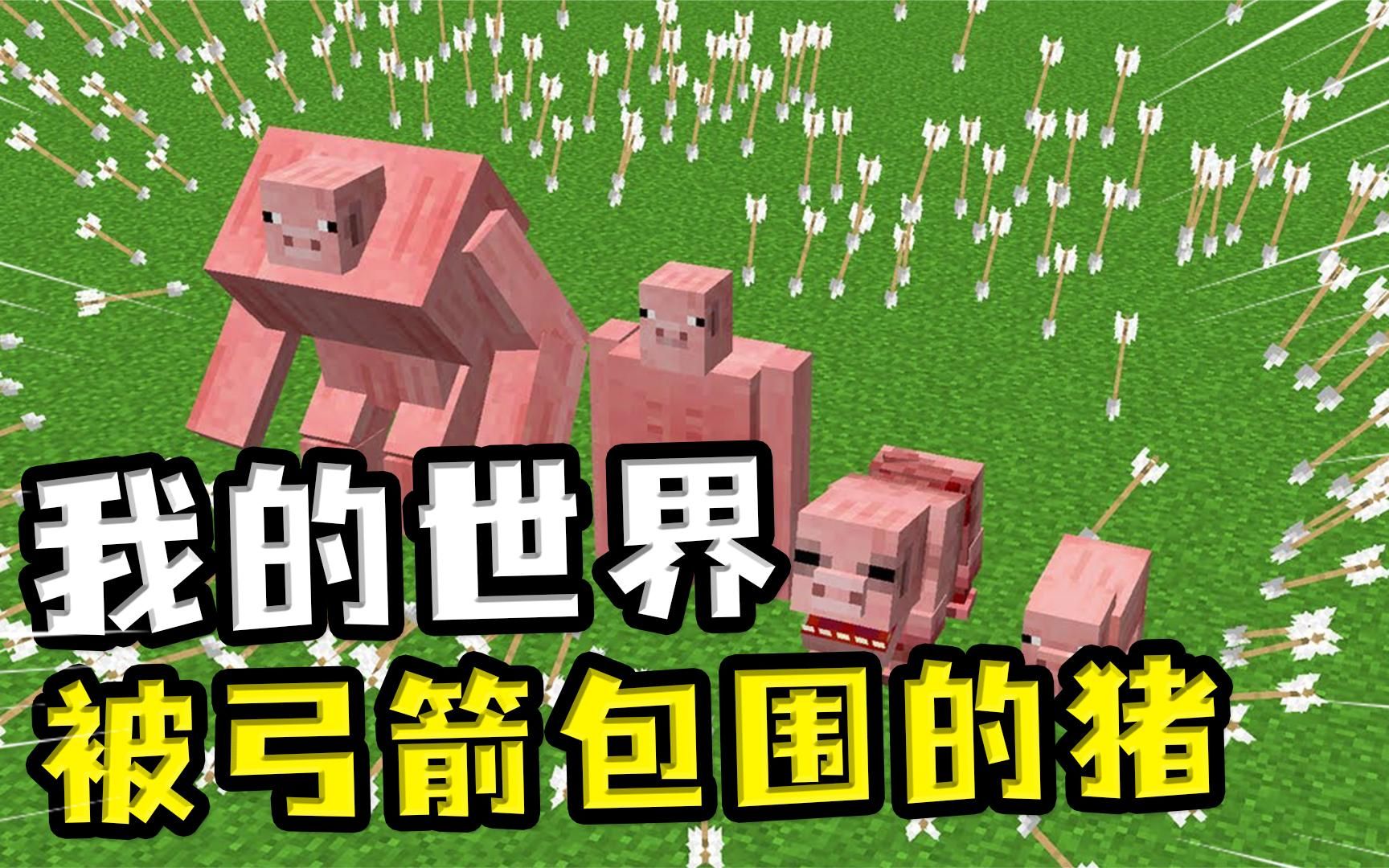 我的世界:暂停住时间,用箭将四头猪重重包围,哪只能活下来?_哔哩哔哩...