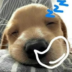 张晓明QwQ 