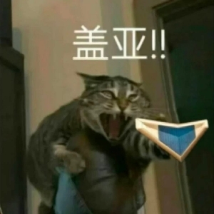 爱玩水冷的分达 