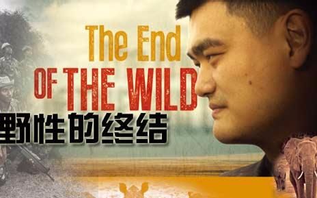 野性的终结-姚明纪录片