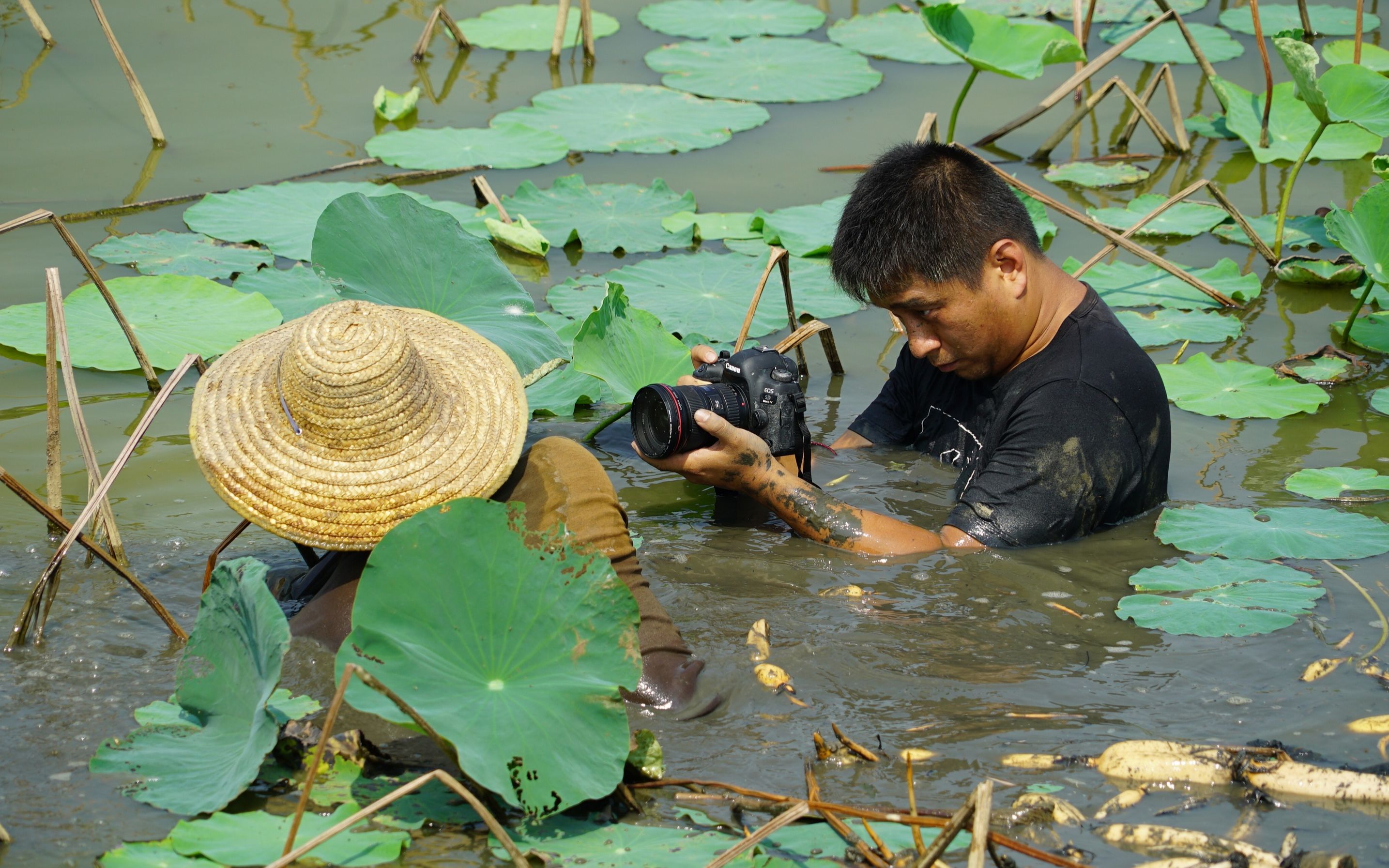 ...纪录片《湿地的力量》 ④:摄制组耗时3年跟踪拍摄湿地动植物的历程
