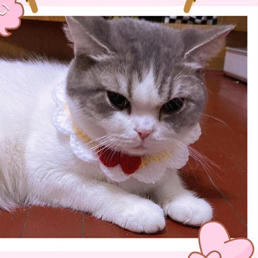 2997的捡垃圾记录 