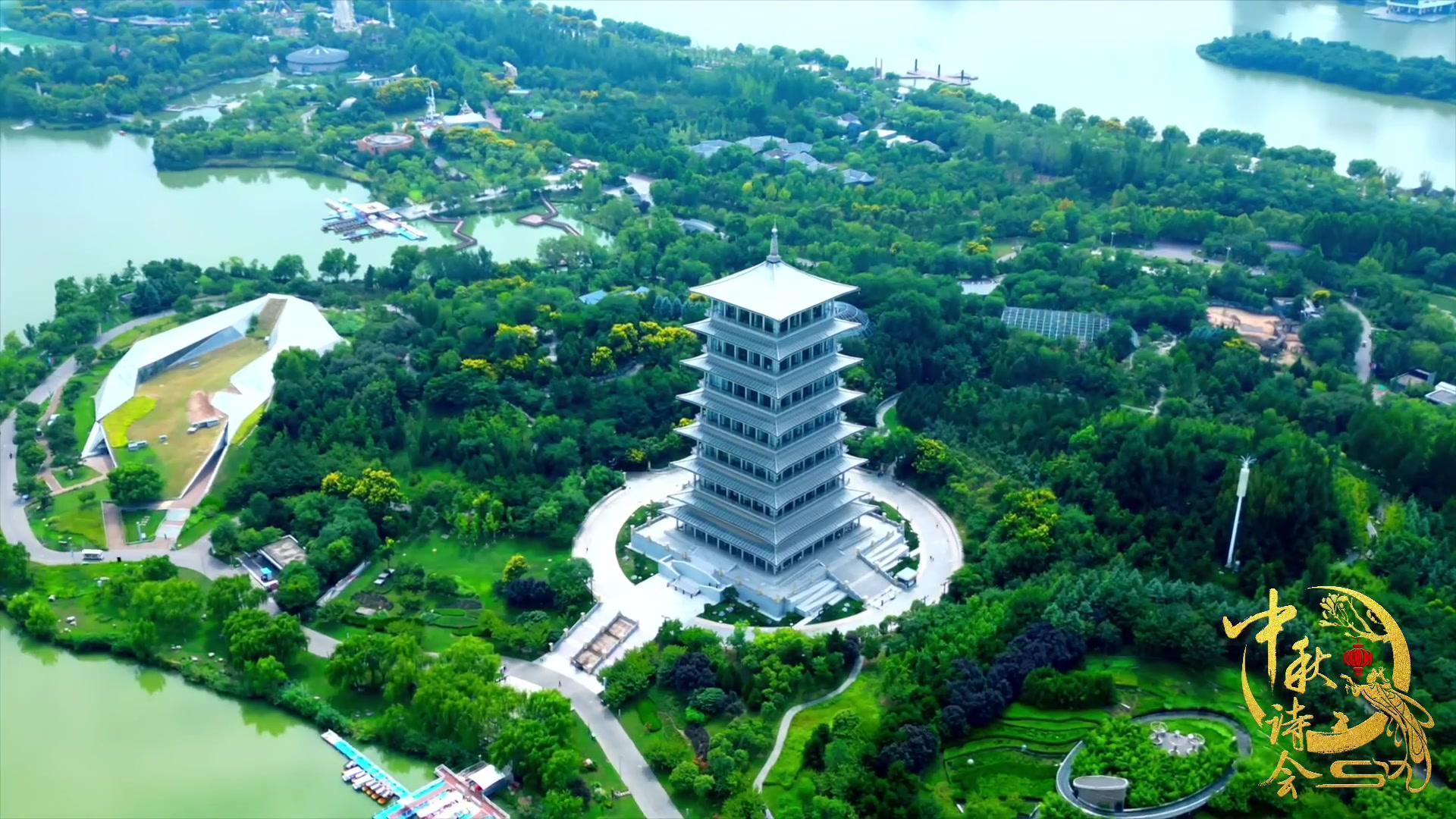 ...诗词大会点评嘉宾康震老师、杨雨老师、郦波老师,和主持人龙洋齐聚...