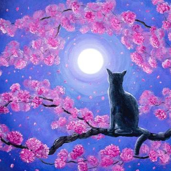 月光舞猫姬 