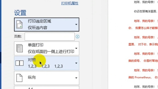 Word打印选定区域内容
