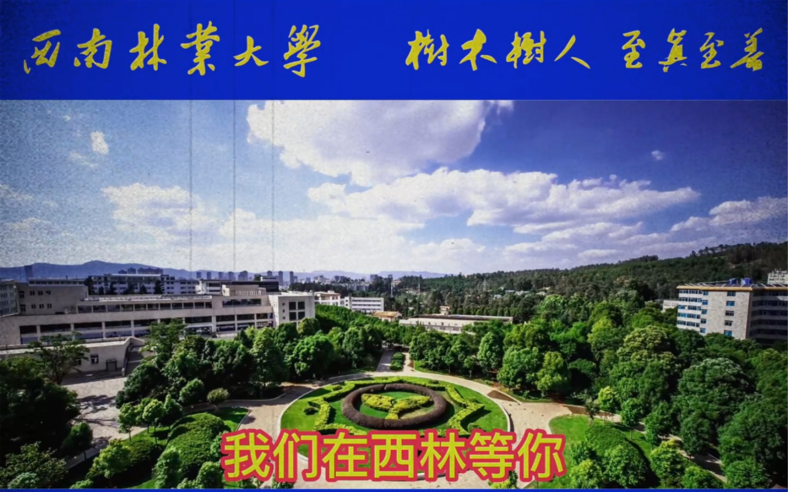欢迎报考西南林业大学 !