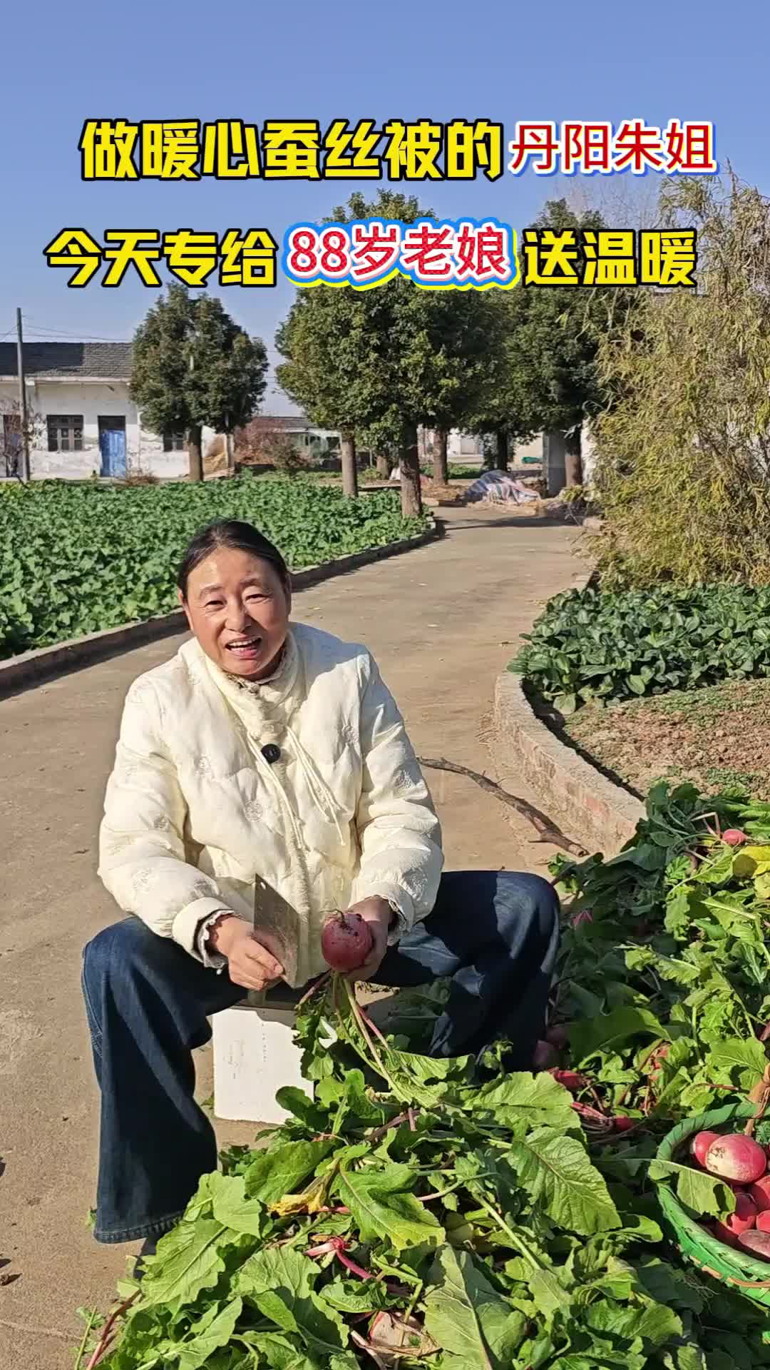 做暖心蚕丝被的丹阳朱姐做88岁母亲的小棉袄,她笑我也笑乡下的太阳...