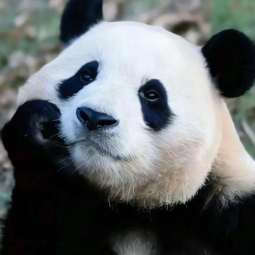 运筹优化与地理信息 