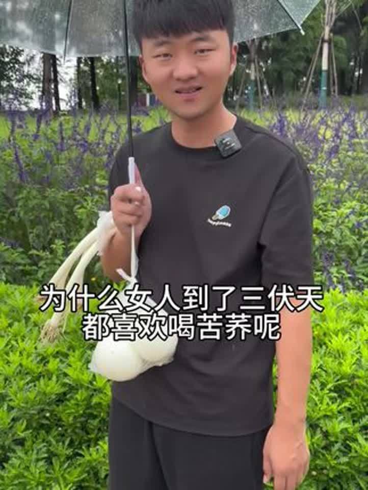 为什么女人到了三伏天都喜欢喝苦荞呢,听听冬哥怎么说