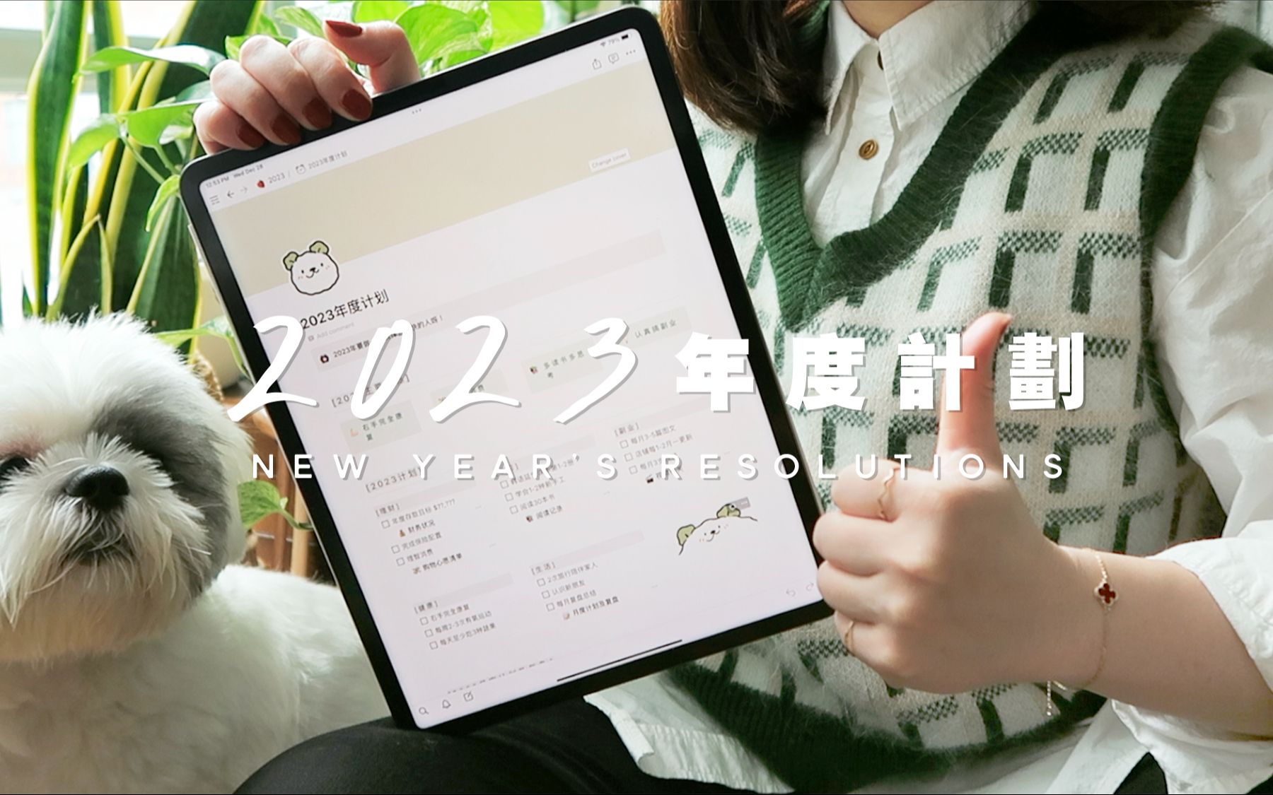 2023年度计划|控制消费欲的好方法|Notion极简年月计划及月度复盘...