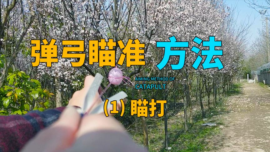 弹弓练习的知识点,我给大家总结出来了,新手朋友可以学习一下