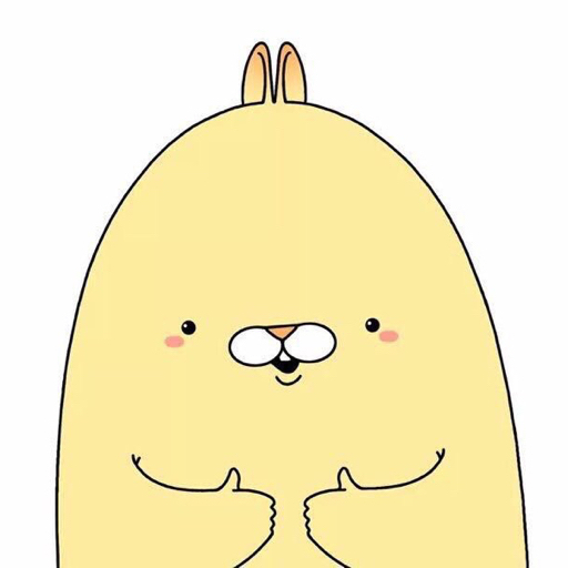 李胖兔 