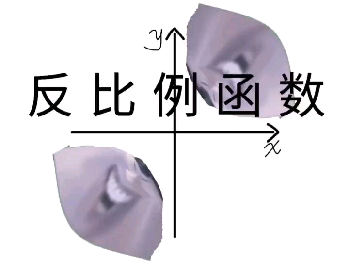看完这个视频你一定能学会反比例函数(?