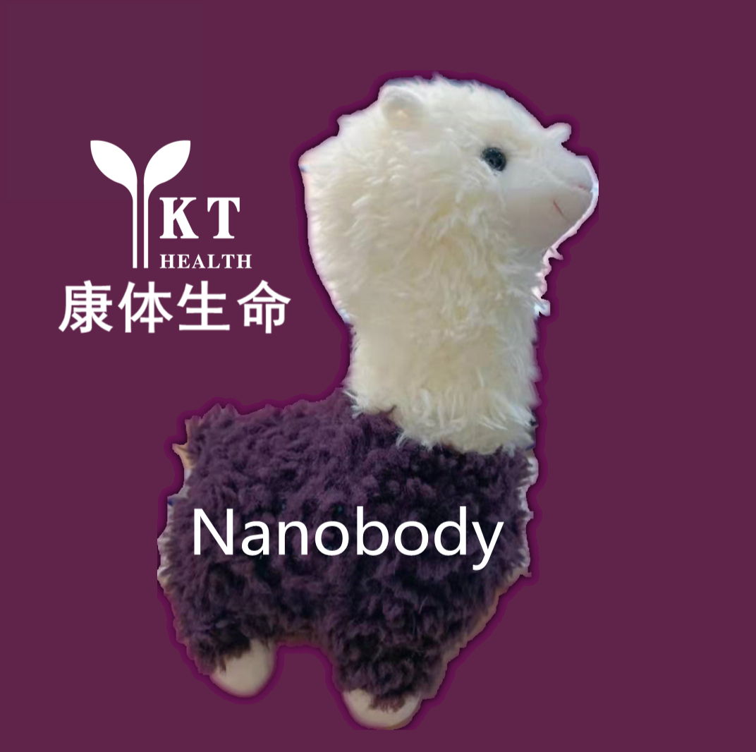 纳米抗体养驼人 
