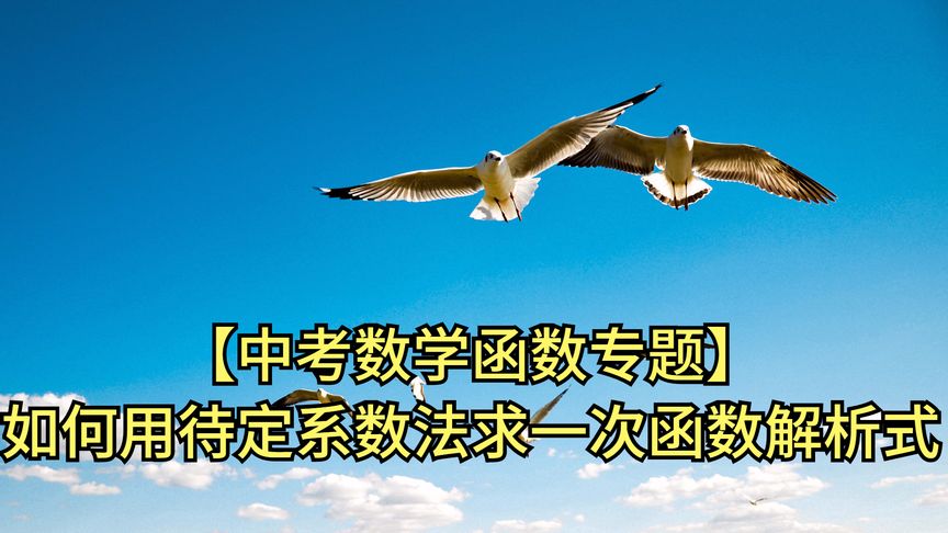 【中考数学函数专题】如何用待定系数法求一次函数解析式