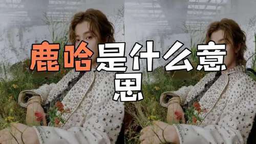 鹿哈是什么意思