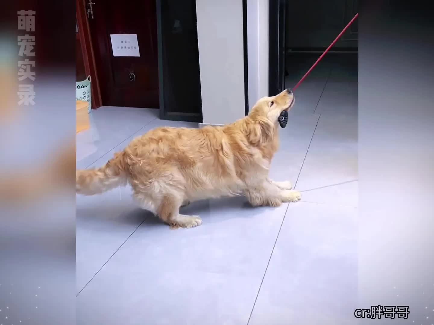 老七,帮忙?我最在行
