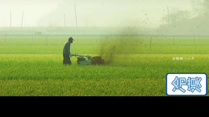#田园风光无限好 #油菜花 #农业机械 #三农