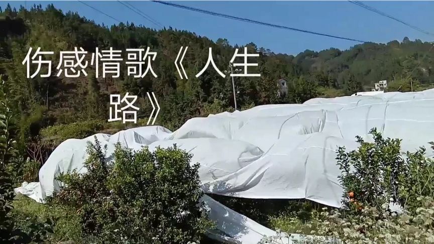 回首走过这一段旅程,是那样熟悉而又陌生,曾经彷徨过哭过也笑过