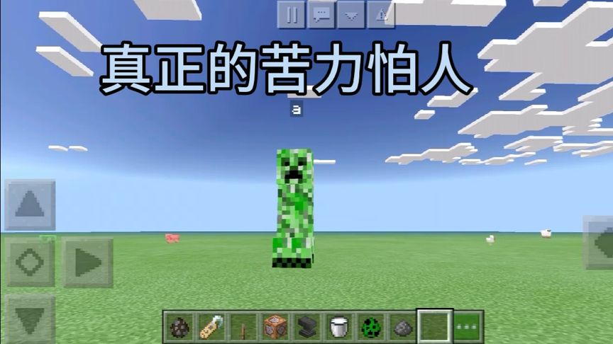 我的世界:教你在原版游戏用最短指令变身其他生物