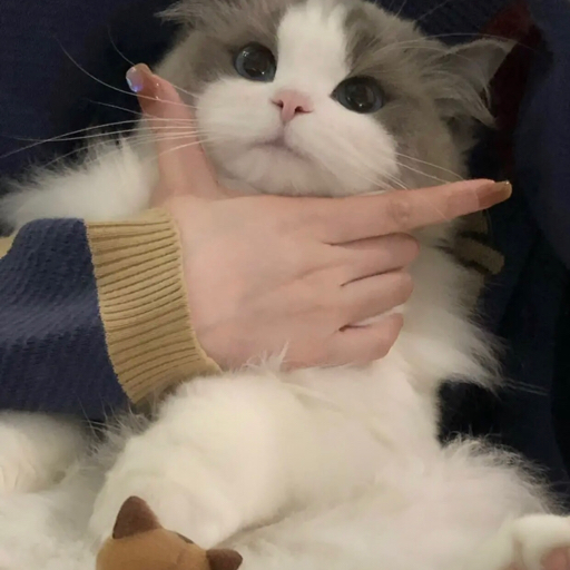学画画我教你丫 