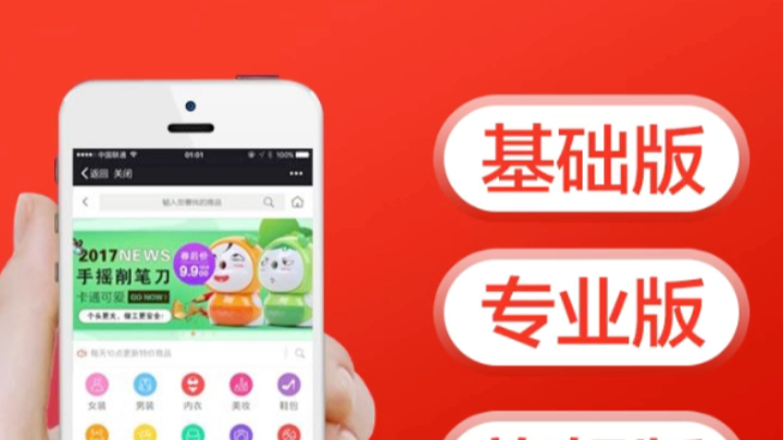 有赞微商城,基础版,专业版,旗舰版
