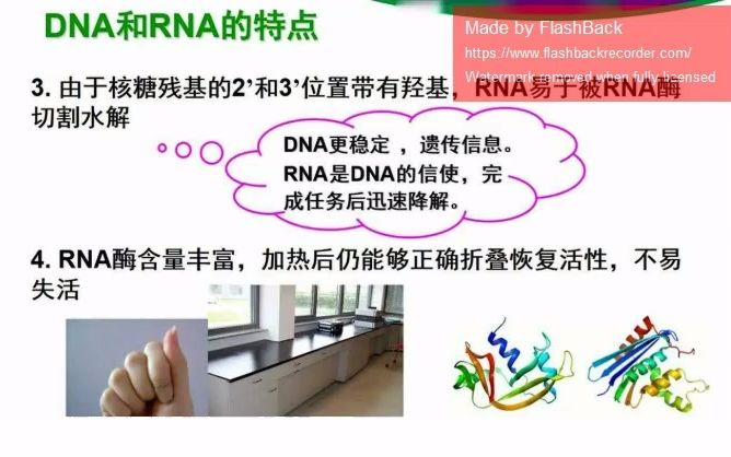 如何用磁珠法提取完美RNA样本