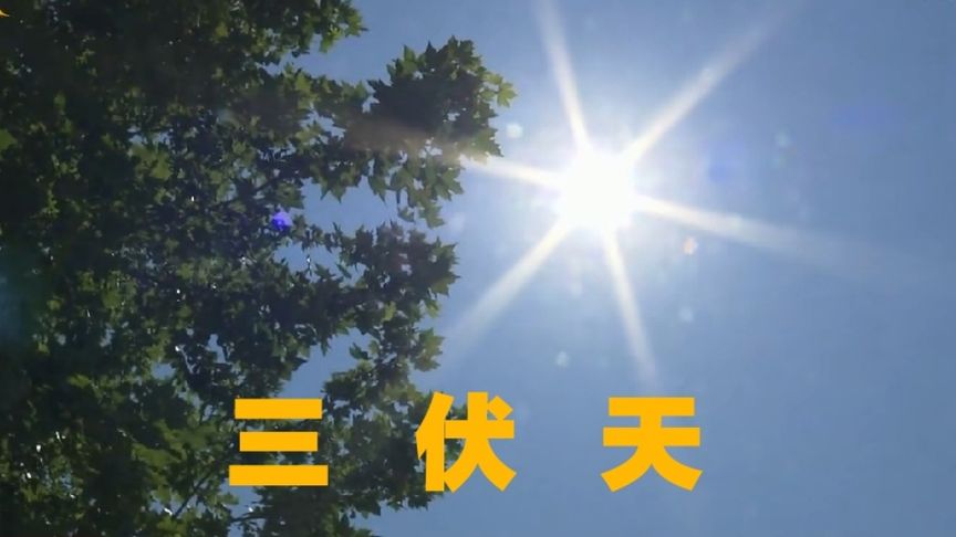 7月16日入伏,今年三伏长达40天,什么时候最热?具体时间如下!