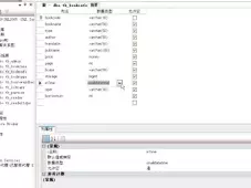 c项目开发全程实录