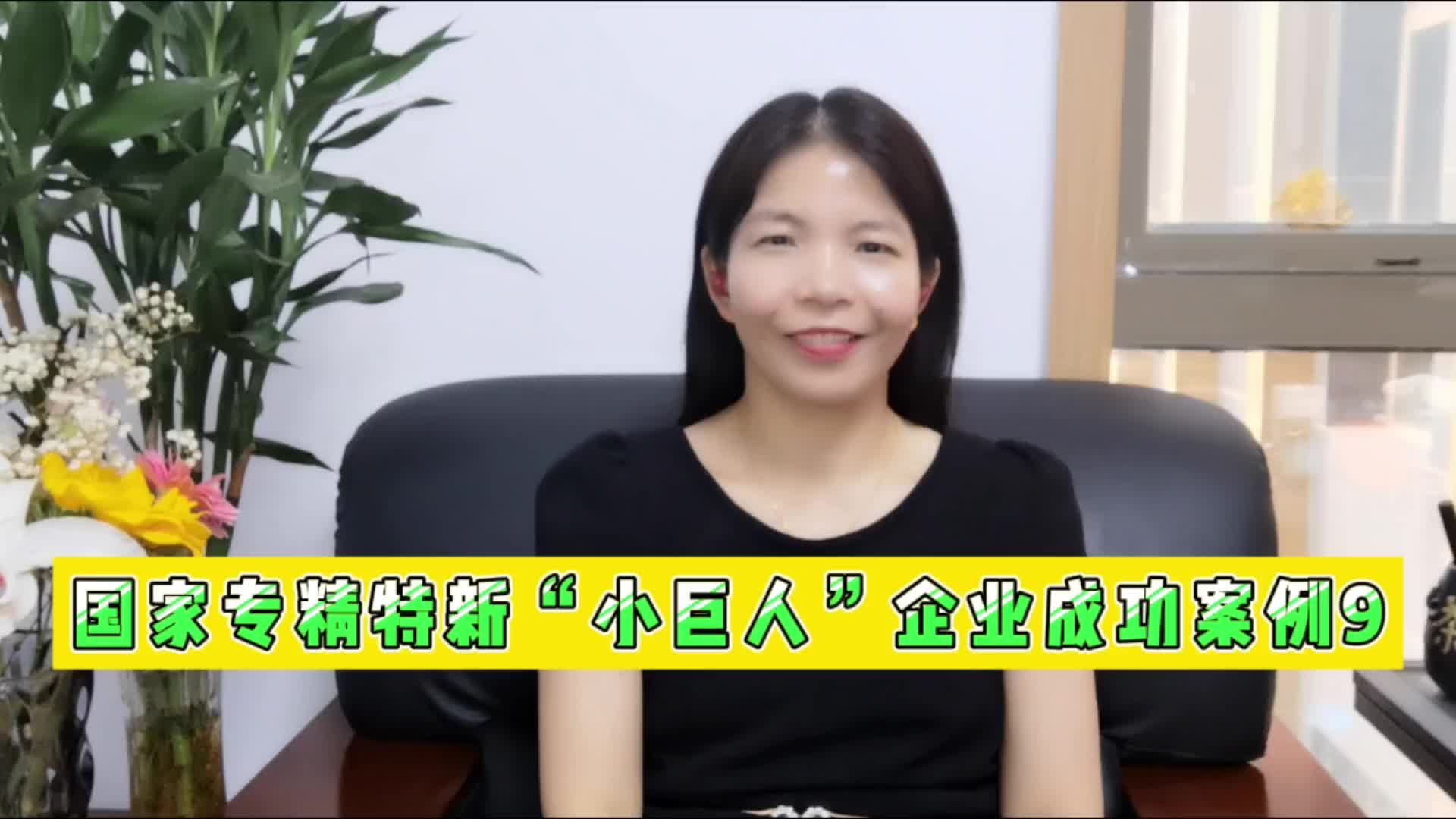 国家专精特新小巨人企业成功案例9