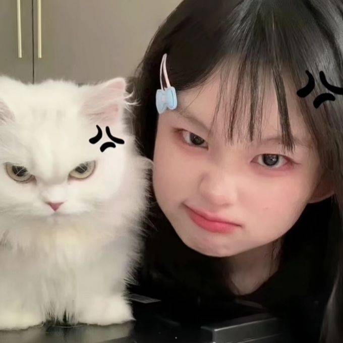 好好吃饭吖咪 